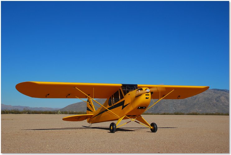 50% Clipped Wing Cub